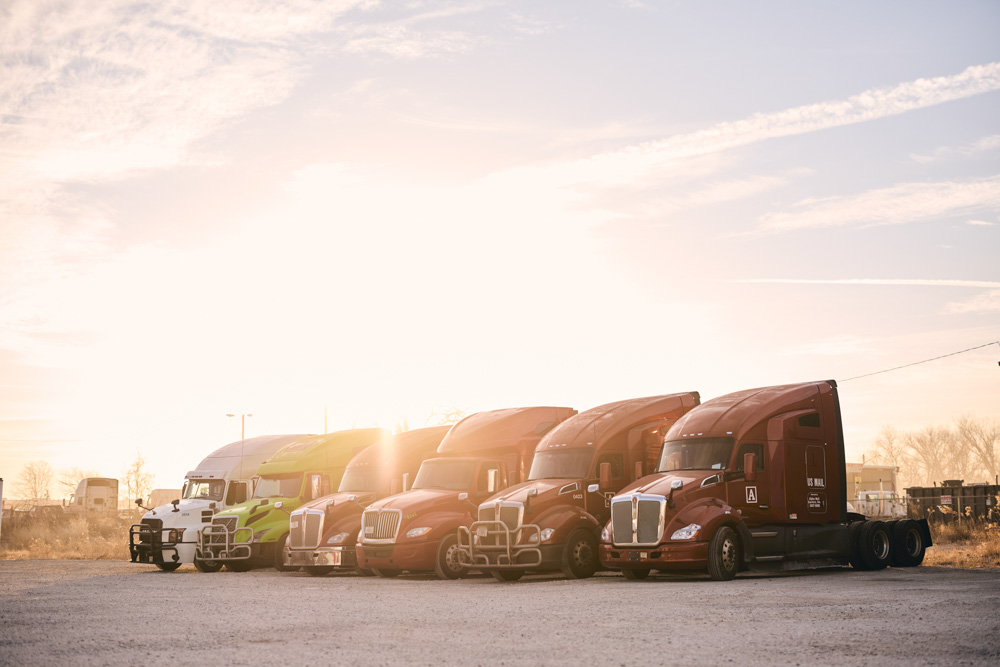 Home - Alpha Mail Carriers